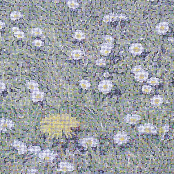 Daisyworld 2